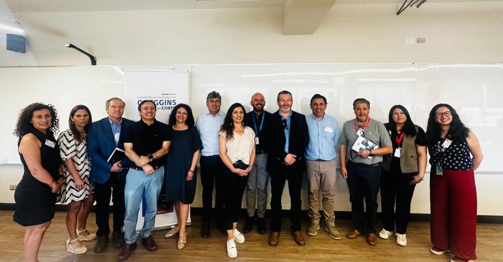 Comité de Desarrollo Productivo O’Higgins define ejes estratégicos y ...